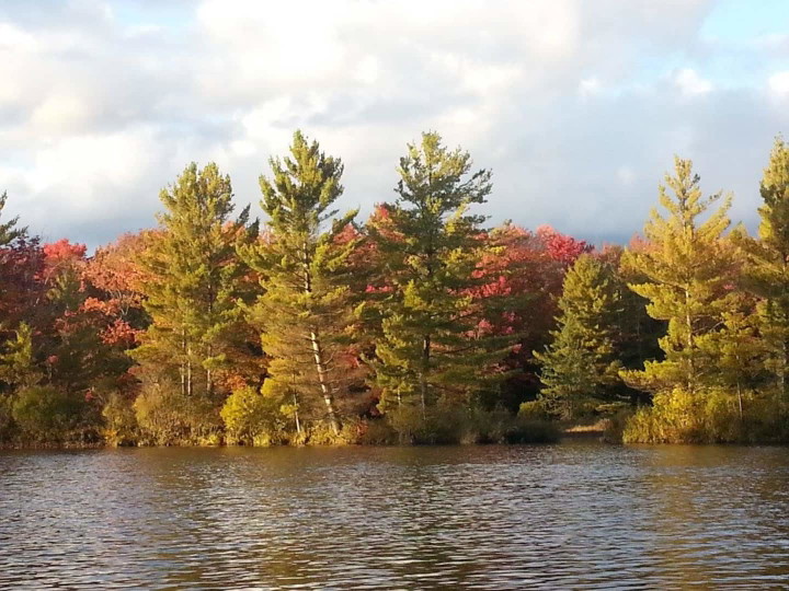 The Muskoka River Homestead - Muskoka District Municipality