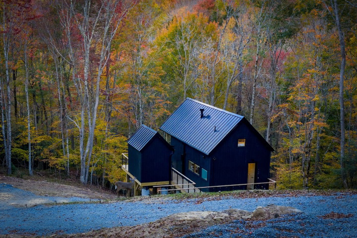 Wild Daisy · Spa Retreat · Beech Mountain - Beech Mountain, NC