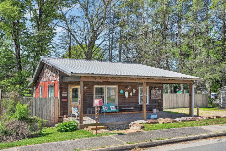 Cozy Brevard Cottage Near Pisgah - Brevard, NC