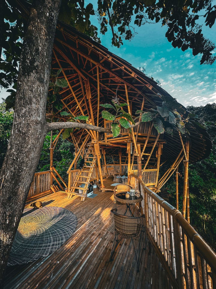 Stunning Bamboo Tree House In Cat Garden - Chiang Mai