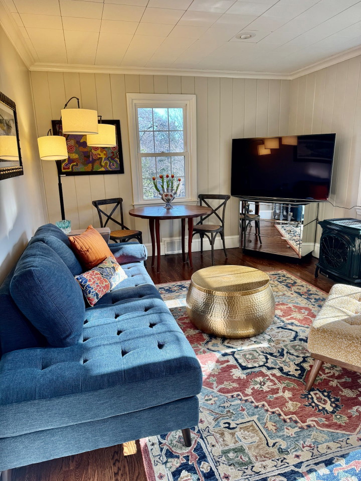 Stylish Mid-century Studio In Historic District - Spartanburg, SC