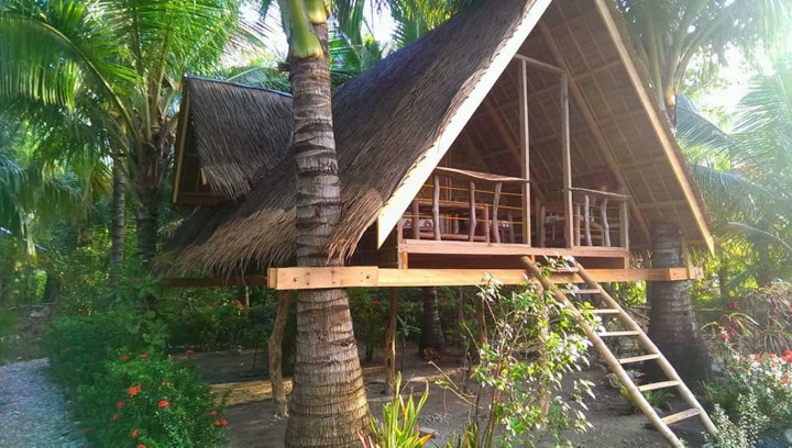 Coconut Tree House Udalo Mindoro - Philippines