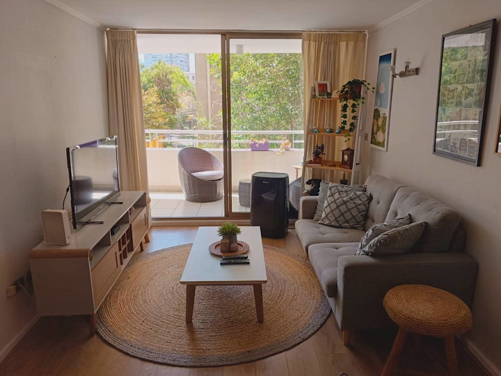 Stylish 2br In Providencia - Providencia