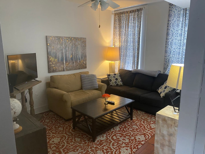 Amazing 1-bdrm In The Fan, Carytown/vmfa/byrd Park - Richmond, VA