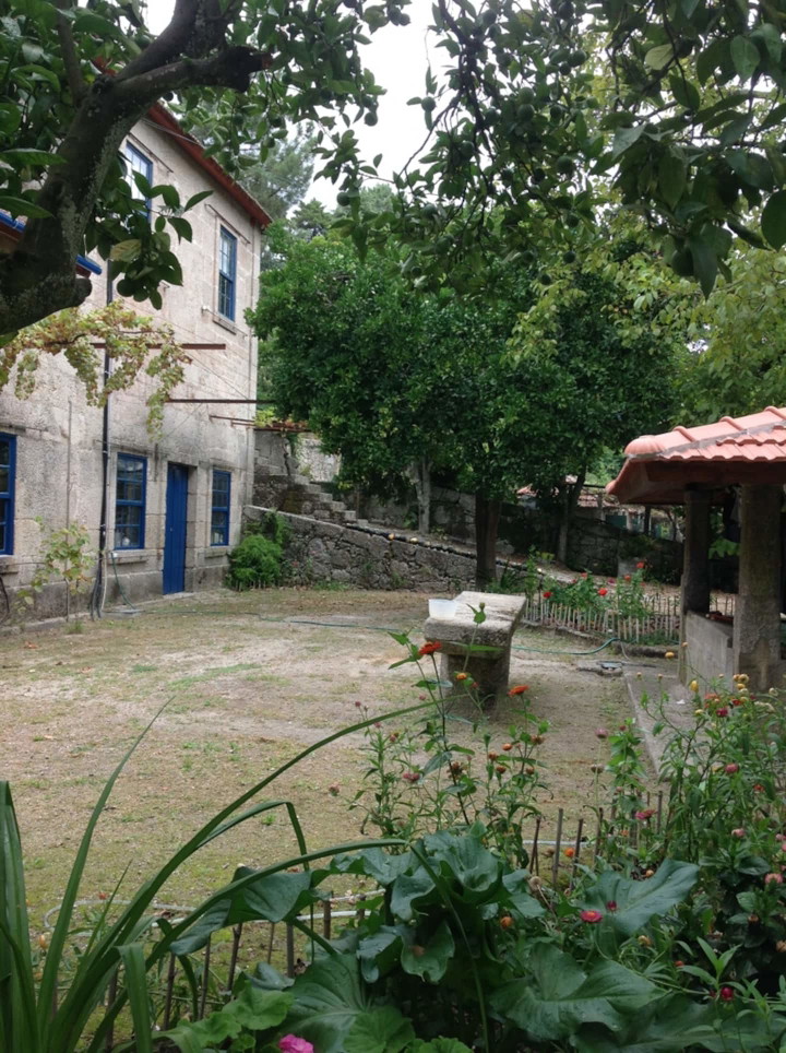 Country House, Pool, Garden - Pt - Penafiel