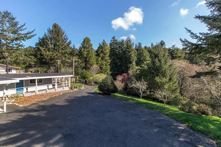 Parker Creek Cabin - Dog & Beachcomber's Paradise! - Trinidad, CA