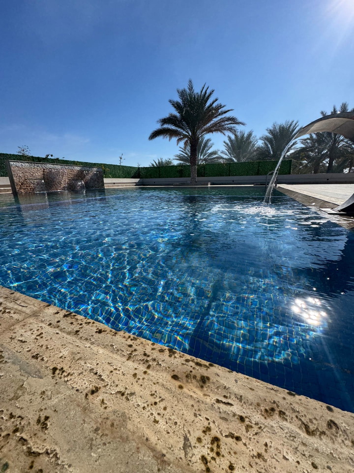 Villa In The Heart Of A Palm Grove - Algeria