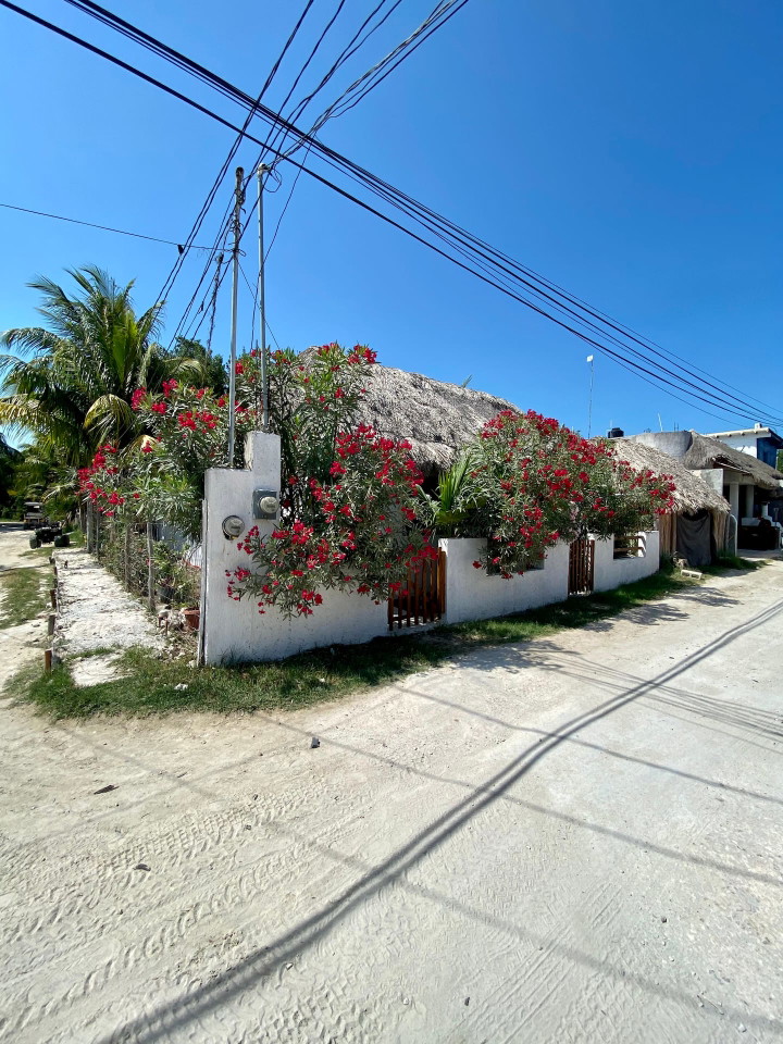 The House Of Flowers With A Courtyard Of Warm Lights - Isla Holbox
