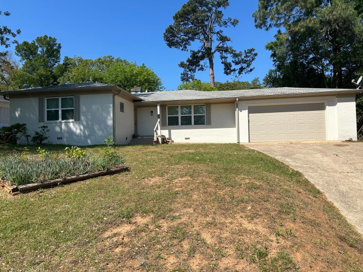 Birds Nest - 타일러