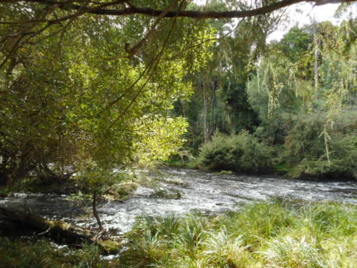 Platypus Den - Healesville