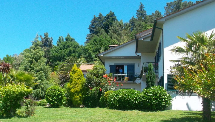 Pine" House With Jacuzzi! - São Pedro do Sul