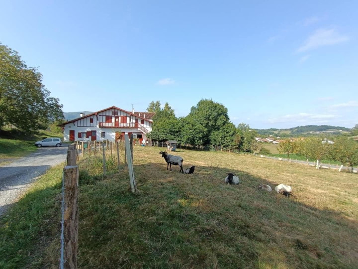 Appartement Espelette - Ustaritz