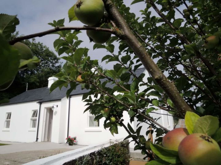 Sally's Garden Cottage - Newry