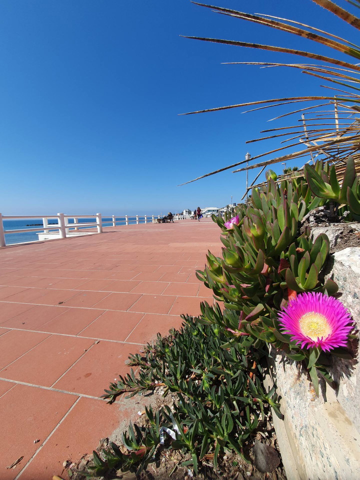 Casa Santa Marinella"la Dolce Vita" - Santa Marinella