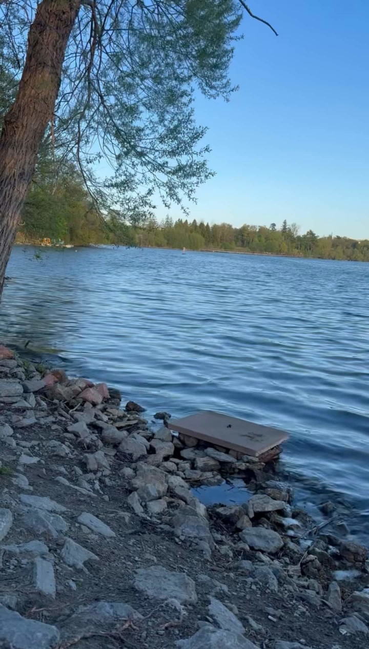 Sous-sol Entièrement Neuf De 2 Chambres - À 10 Minutes à Pied Du Lac Wilcox - Richmond Hill
