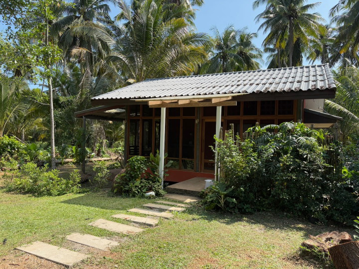 Cocohut Garden, A Cozy And Welcoming Organic Farm. - Thailand