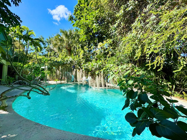 Unique Art & Nature Hideaway Walk To Wilton Drive - Tamarac