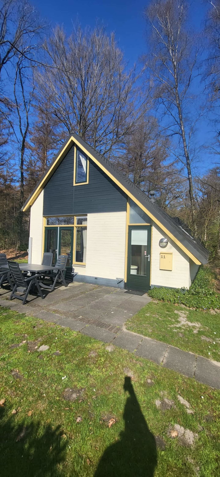 Cozy Forest Chalet With Private Terrace - Zwolle