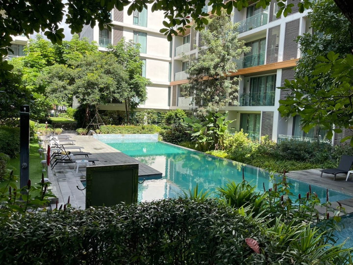 Wonderful Condo In Nimman! - Thailand