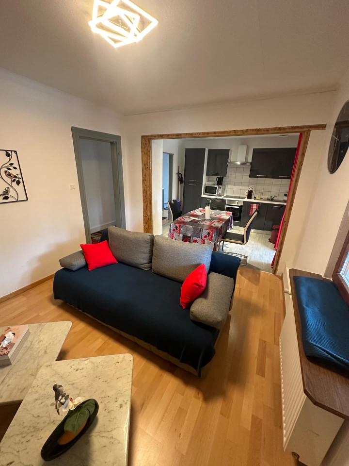 Appartement Proche Aéroport - Blotzheim