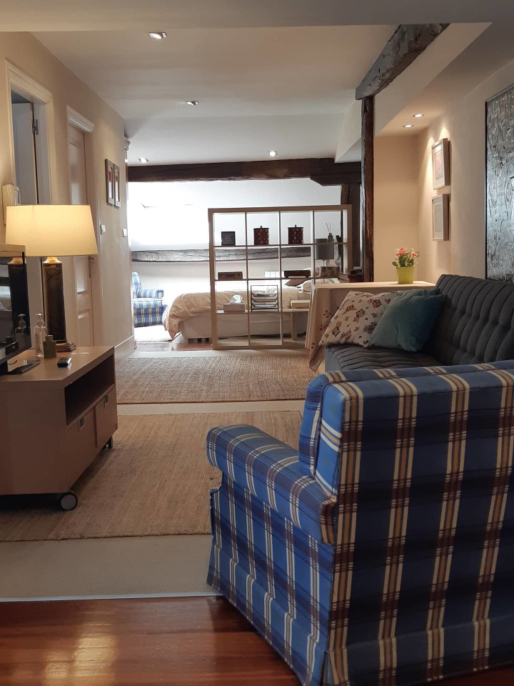 Private Luxury Loft _in The Heart Of Casco Viejo - Bilbao