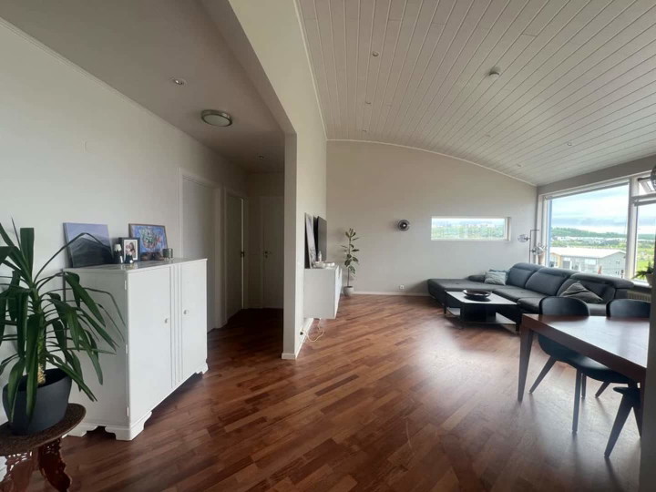 Entire Apartment In Kópavogur - 雷克雅維克