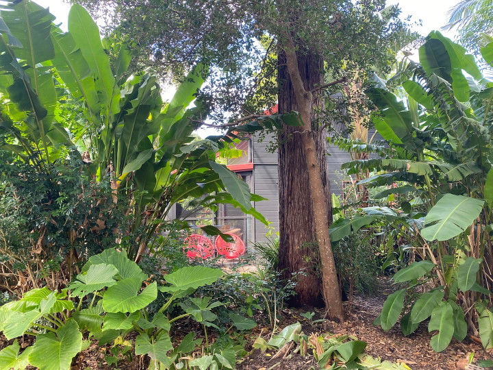 Byron Bay Lush Private Garden Guesthouse And Bikes - Byron Bay