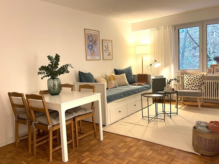 Appartement De Ville 2 Chambres Récemment Rénové - Lucerne