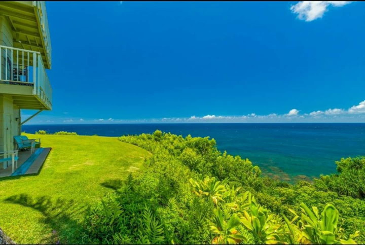 Faszinierender Meerblick - Hawaiiana Stil Wohnung Mit Ausgang - Wal- Und Vogelbeobachtung - Kauai, HI