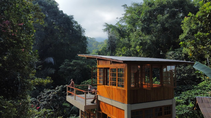 Remote Rainforest Cabins For Nature Lovers - Bali