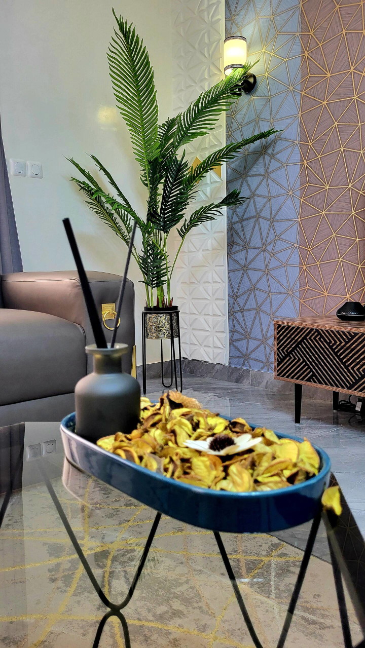 Elegant Apartment 1 Bedroom Bel'appart - Republic of the Congo