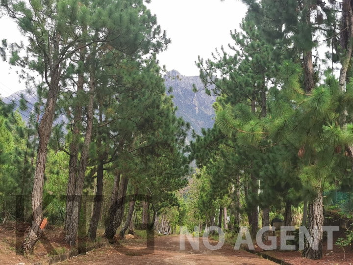 Ktg's Residence - Ranau