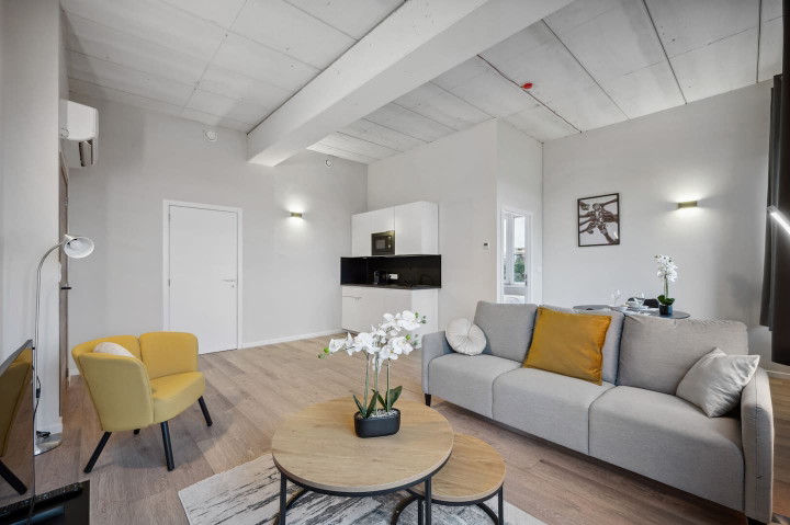 1 Bedroom Penthouse - Brussels