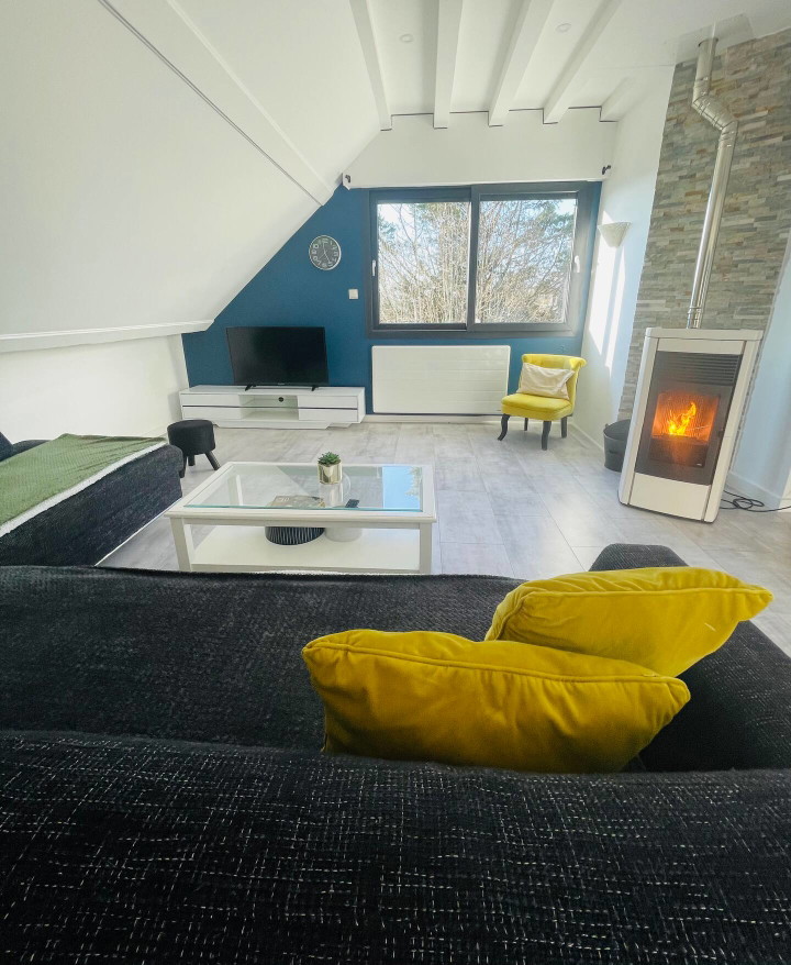 Appartement 110m à Deux Pas De La Place Darcy - Côte-d'Or
