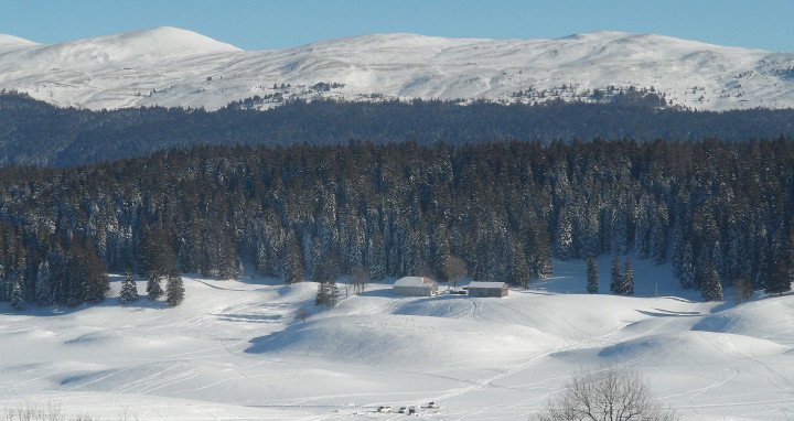 Gîte 3 Ch. 10 Pers. Sans Voisin Sur 30 Hectares - Jura