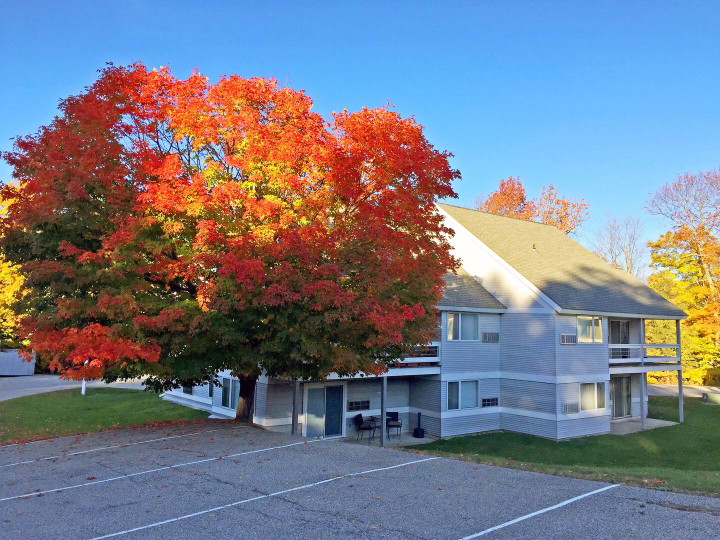 Modern Killington Farmhouse Condo: Close To Resort - Killington, VT