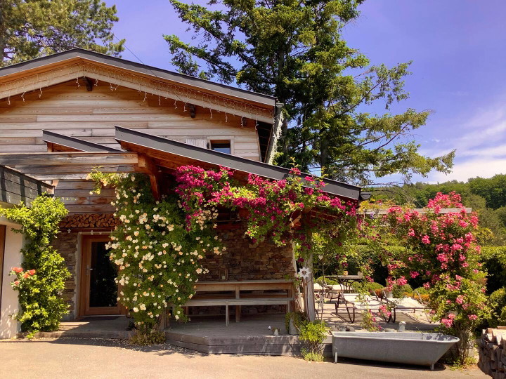 Chalet Du Bickenberg-calme-nature-piscine Partagée - Haut-Rhin