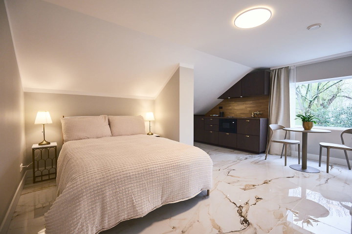 Spacious Studio With Your Own Kitchen & Bathroom - Amsterdam