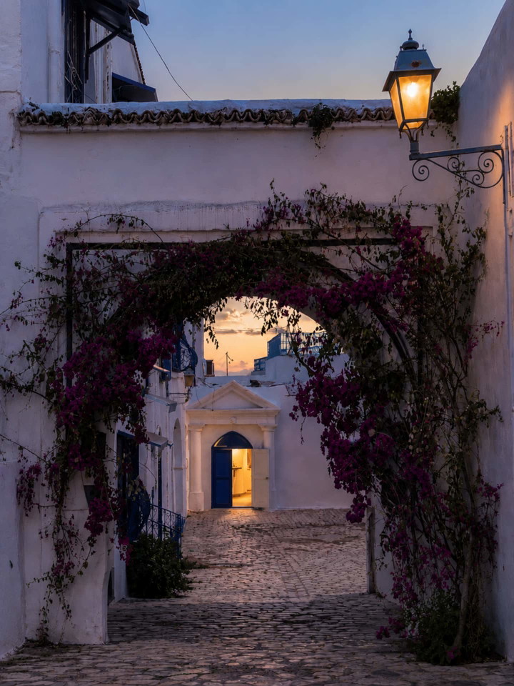 La Terrasse Aux Souvenirs - Sidi Bou Said