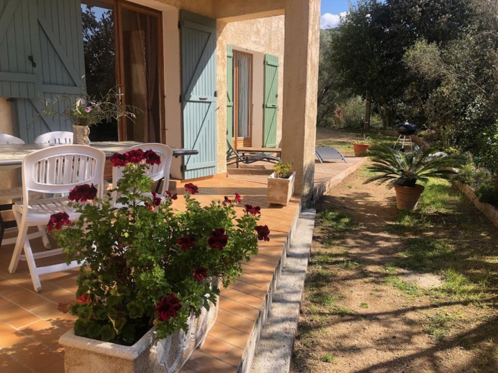 Appartement Bord De Mer Sous Les Oliviers - Olmeto