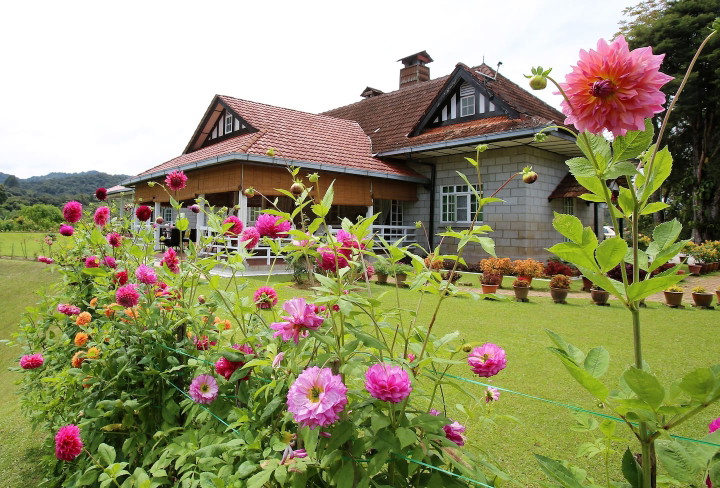 Bukit Lowick Bungalow - Tanah Rata