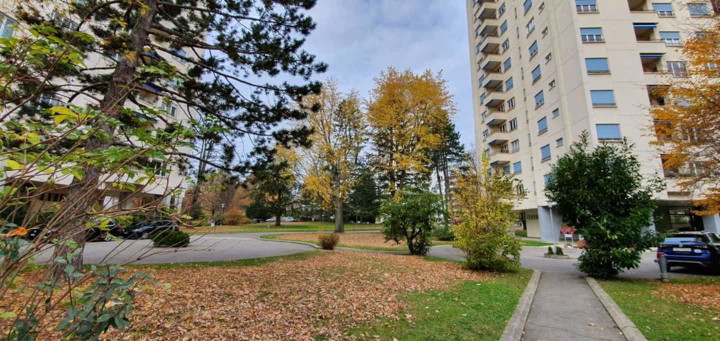 Lausanne : 3 Pieces Calme Et Proche Du Centre Vill - Lausanne