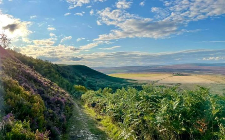 The Retreat -Rural Farm Stay Near Helmsley - Helmsley