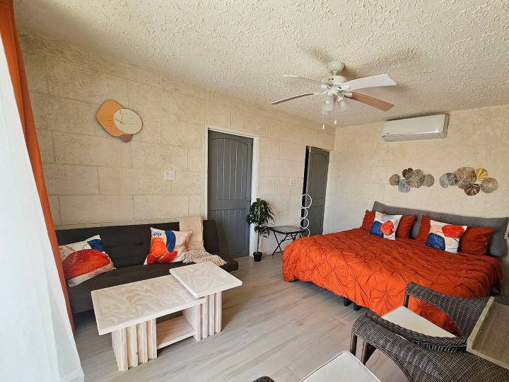 South Sky Studio - Barbados