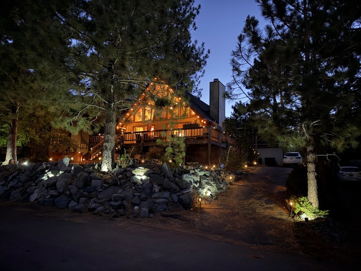 Bearly Behaving - Wrightwood, CA