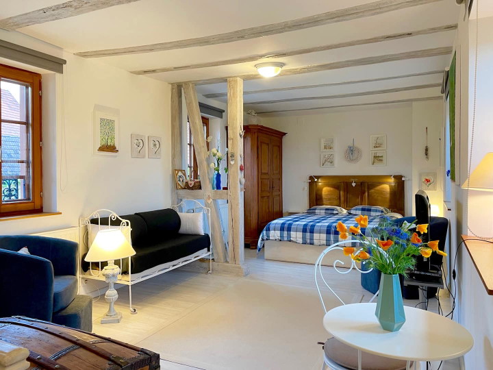 Branhiesel, Petite Maison Indépendante Dans Parc - Baerenthal