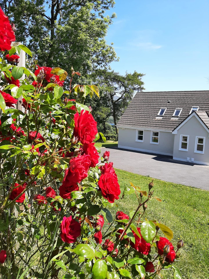 Farm Stay With Stunning Views - Blessington