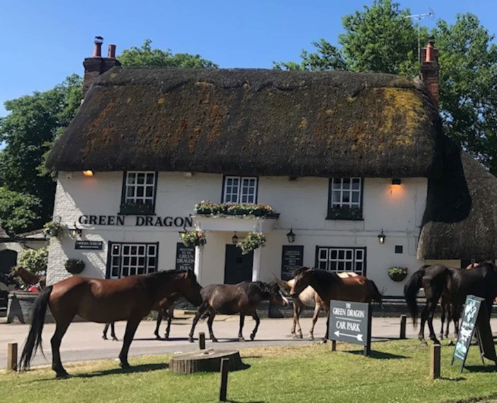 The Bungalow At The Dragon, New Forest - Wiltshire