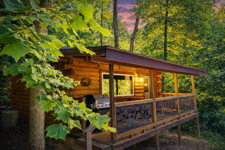Bearadise Cove: Pet Friendly Cabin Hocking Hills - Hocking Hills State Park, OH