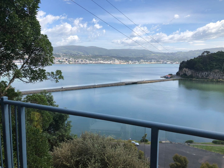 Awesome City And Water Views - Dunedin